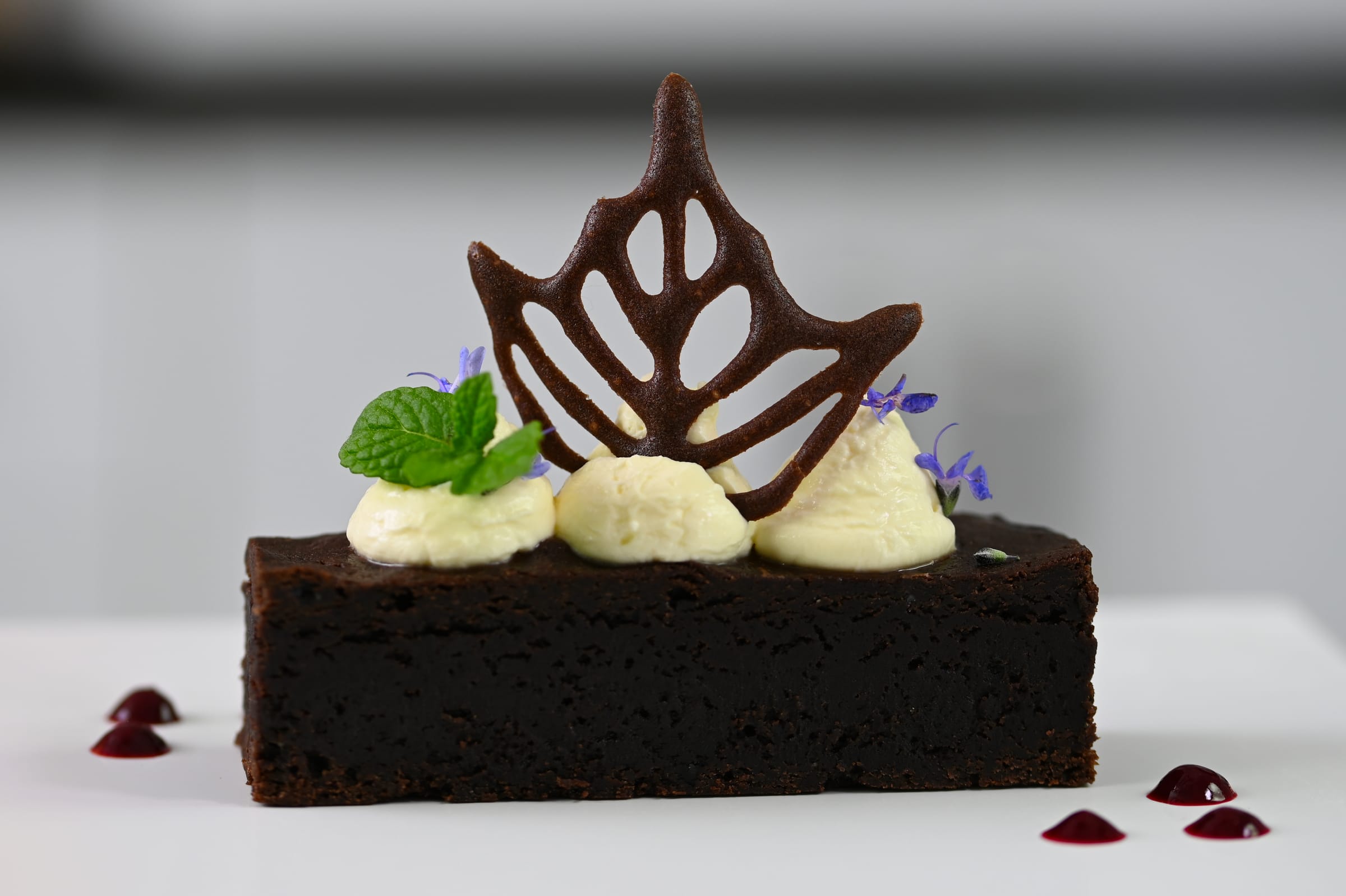 Piped Tuile Biscuits